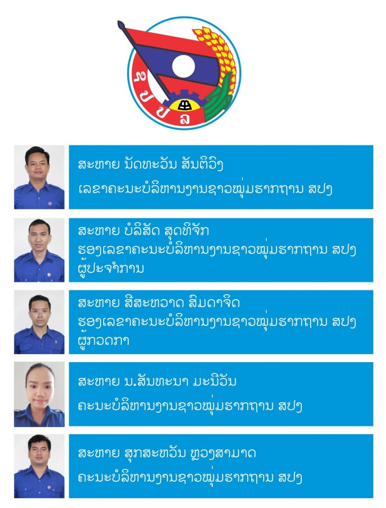 ໂຄງຮ່າງການຈັດຕັ້ງ ສາຍພັກ ແລະ ອົງການຈັດຕັ້ງມະຫາຊົນ - DPO