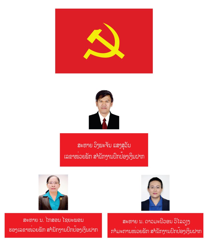ໂຄງຮ່າງການຈັດຕັ້ງ ສາຍພັກ ແລະ ອົງການຈັດຕັ້ງມະຫາຊົນ - Deposit Protection ...